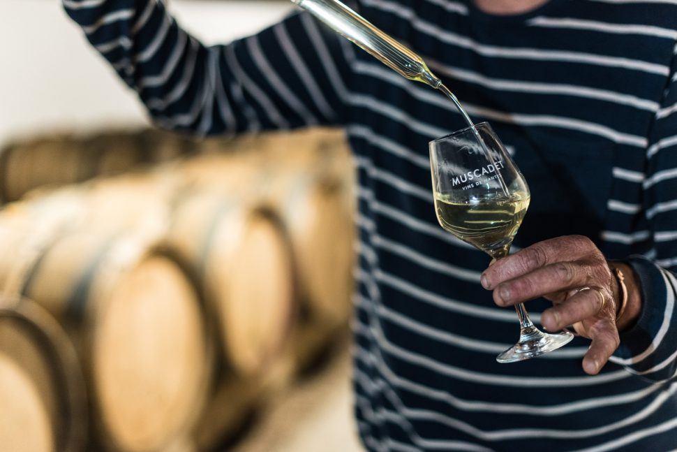 Spécial revendication 2020 - Muscadet