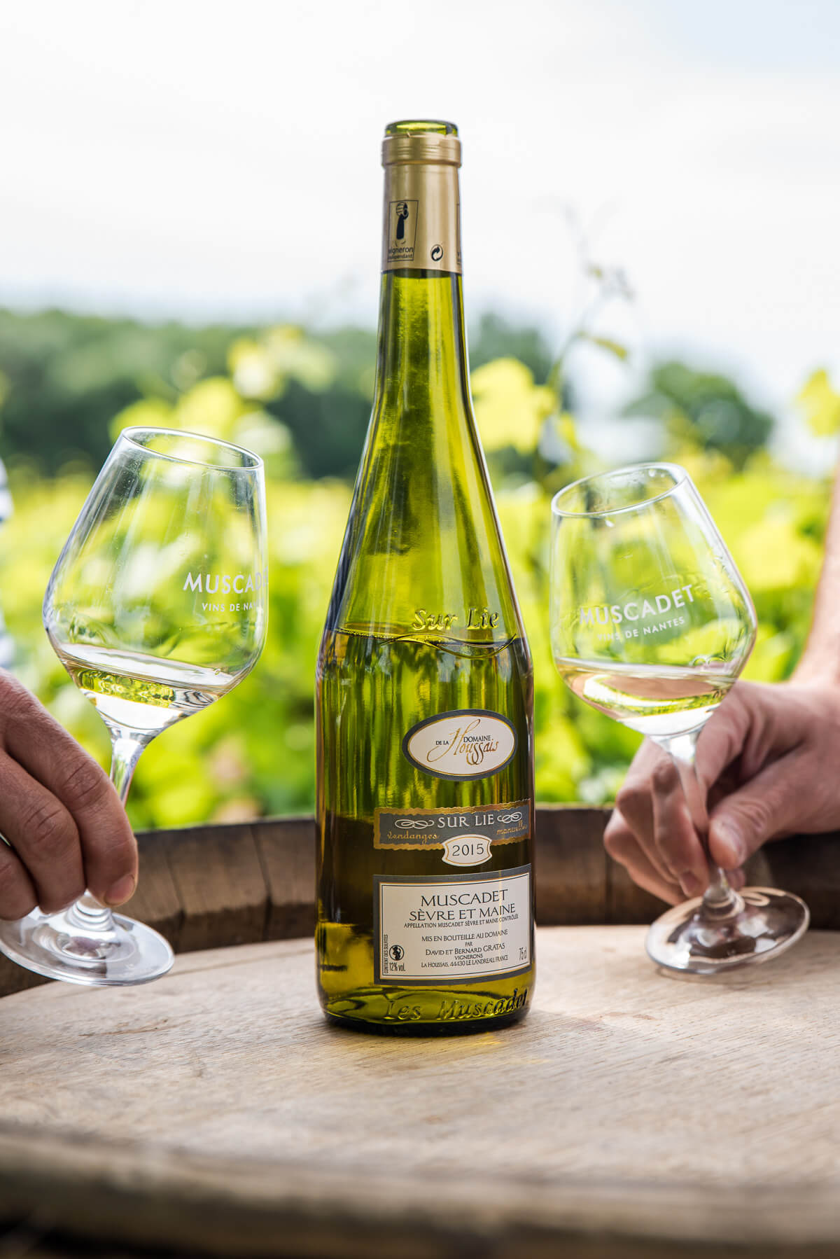 Muscadet dans le CHR : 5ème appellation de vin blanc la plus référencée ...