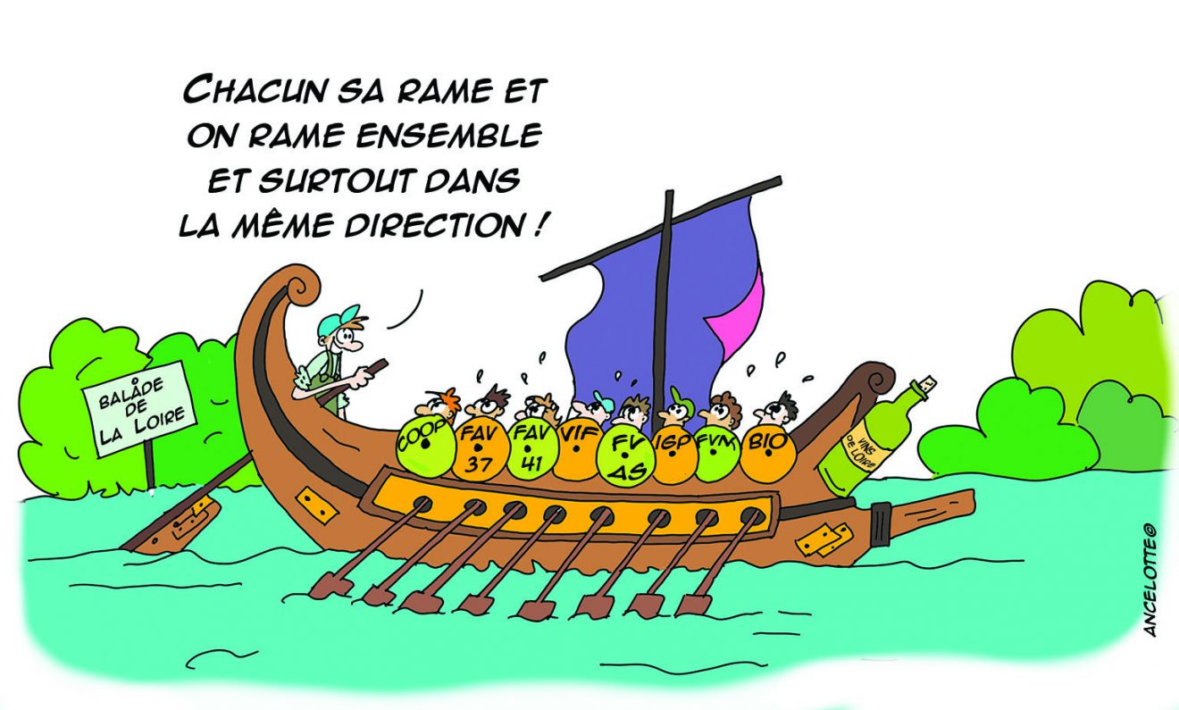 L’union fait la force - Muscadet