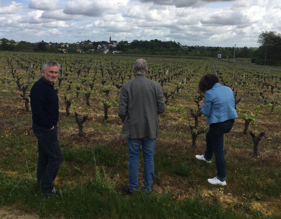 L'actu en images - Mai 2018 - Muscadet