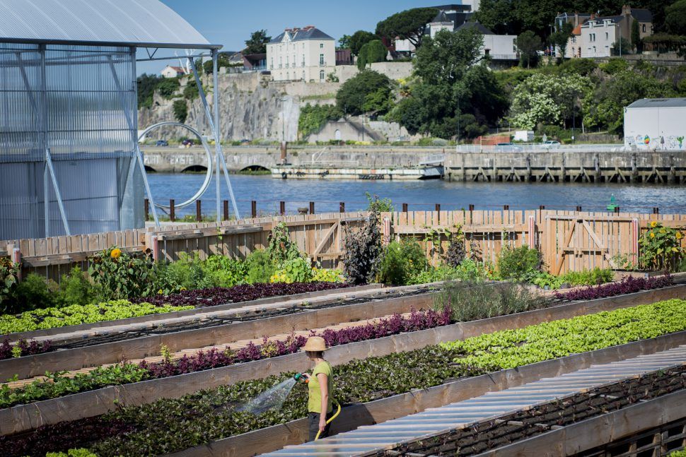 L'actu en images - Juin 2017 - Muscadet