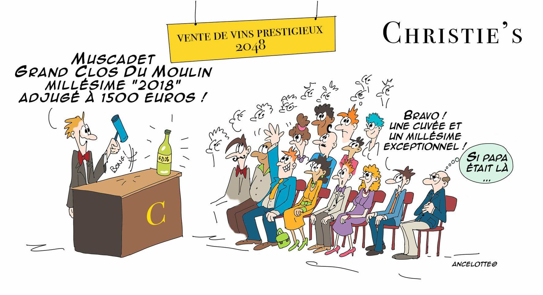 Un millésime exceptionnel - Muscadet Un millésime exceptionnel - Muscadet