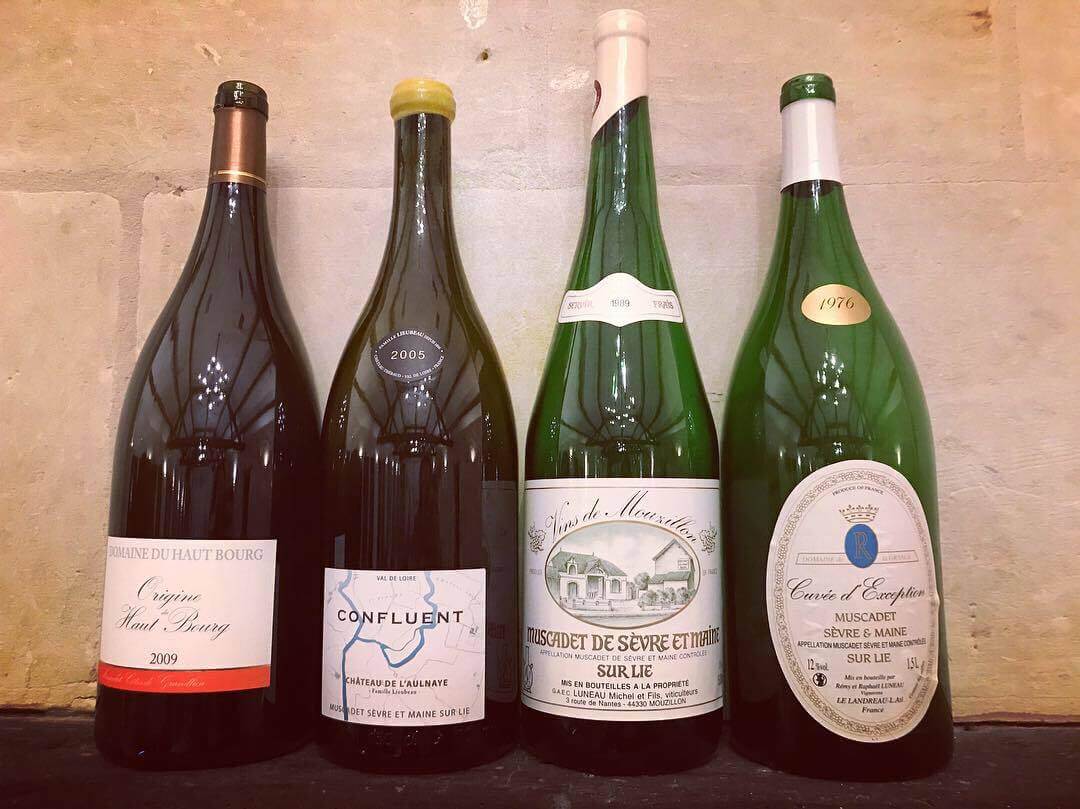 Le Muscadet très apprécié à Loire millésime ! - Muscadet