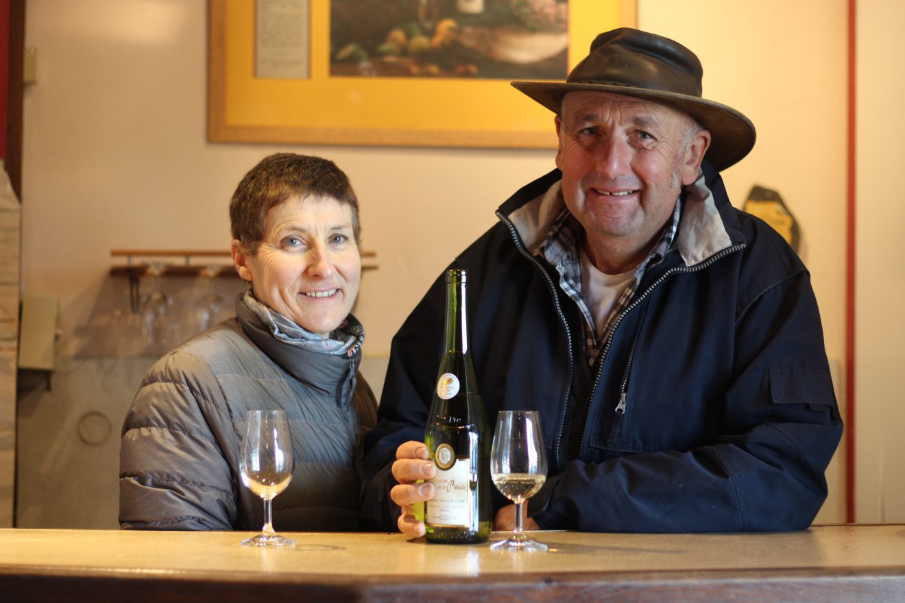 Investir dans le vignoble : les enjeux du foncier (partie 2) - Muscadet