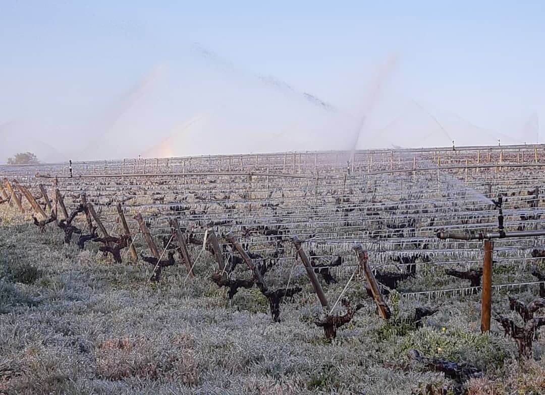 Aspersion : un groupe de travail mis en place - Muscadet