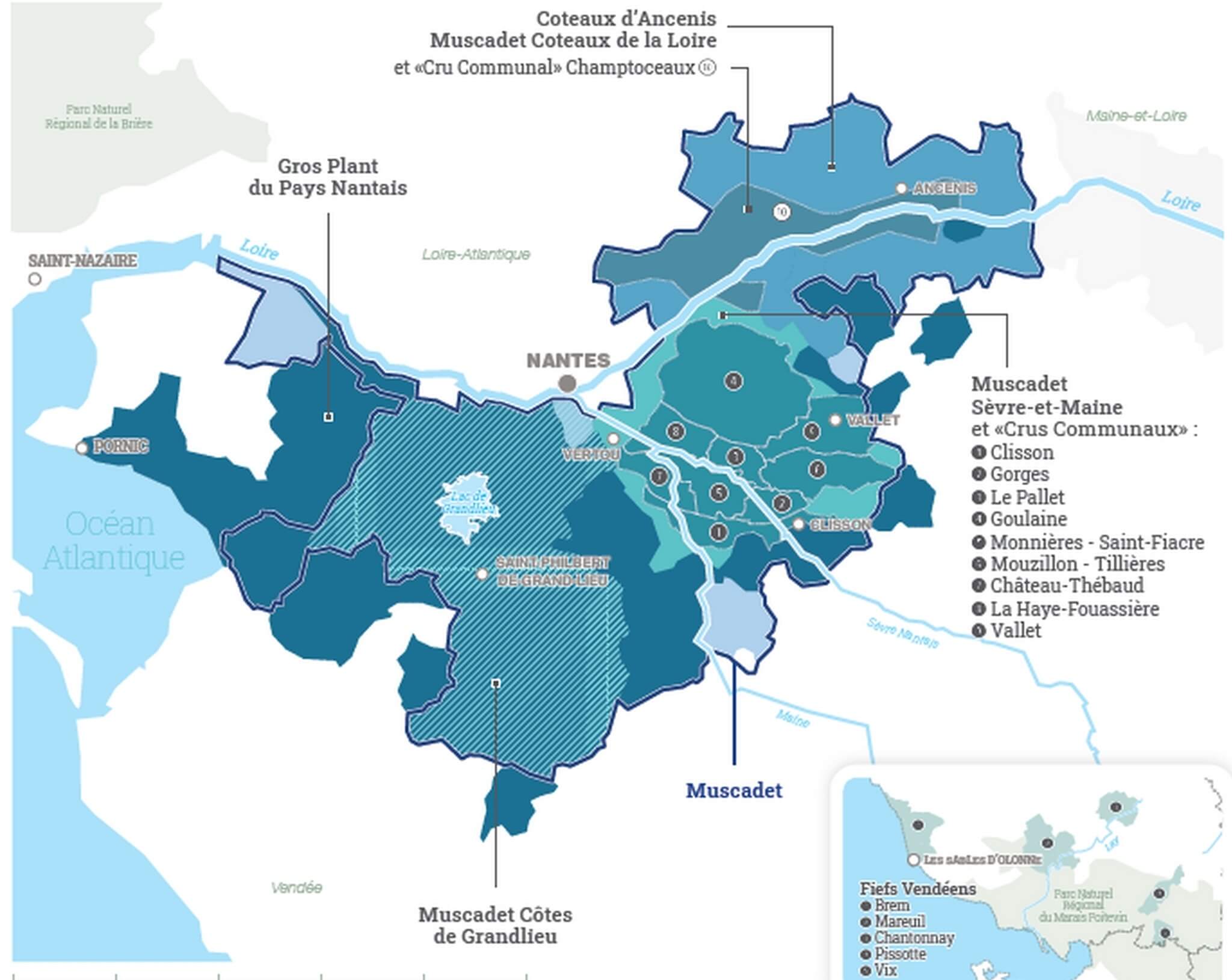 Une nouvelle carte du vignoble Nantais éditée par InterLoire - Muscadet