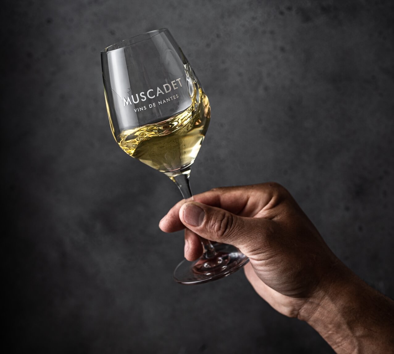 Ambassadeurs : Plus que quelques jours pour s'inscrire - Muscadet